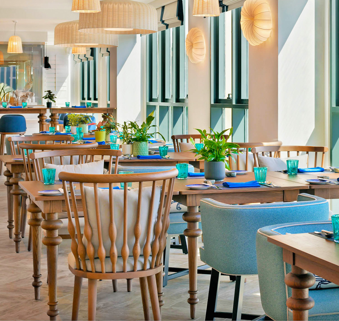 Blue Panda | | Buy One Get One Free | The ENTERTAINER