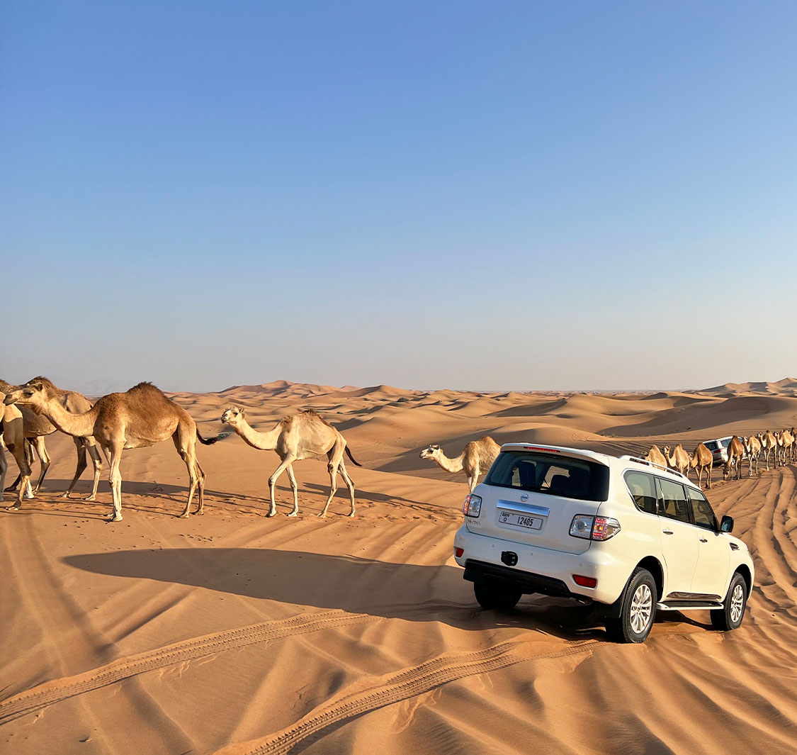 Book Your Desert Trip | | Buy One Get One Free | The ENTERTAINER