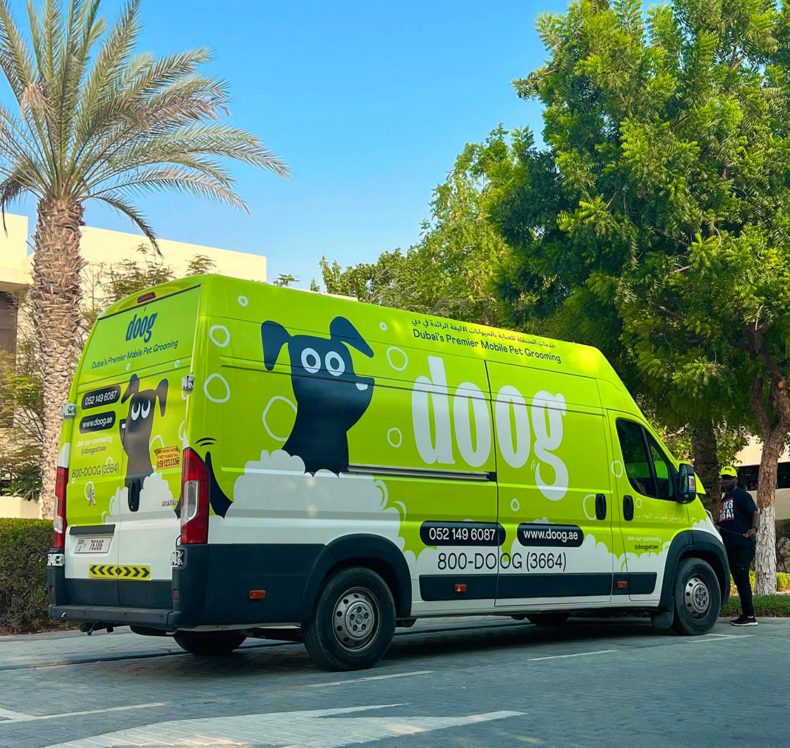 Doog Domestic Pets Grooming | | Buy One Get One Free | The ENTERTAINER