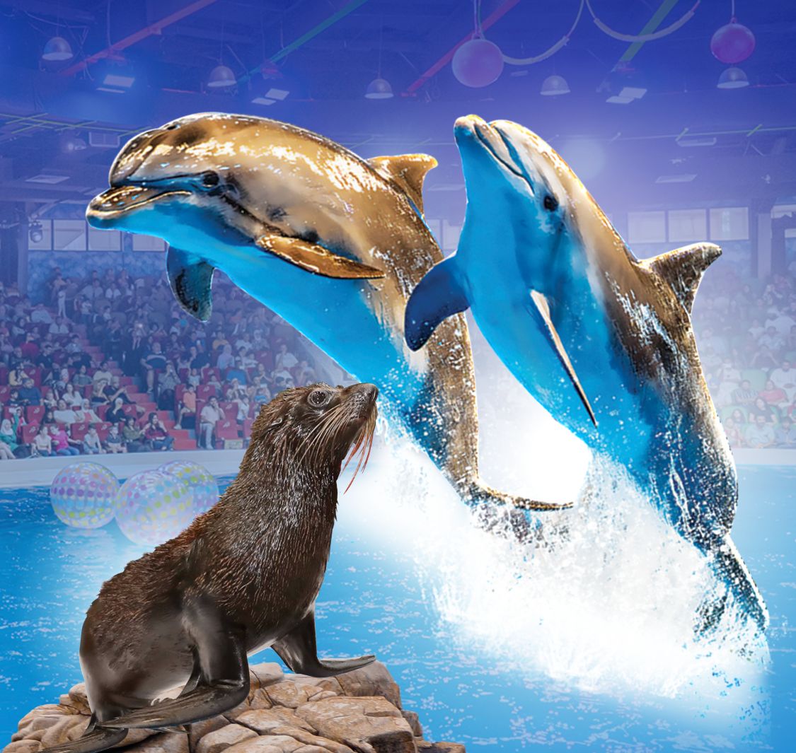 Dubai Dolphinarium | | Buy One Get One Free | The ENTERTAINER