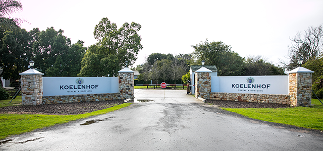 Koelenhof Winery | | Buy One Get One Free | The ENTERTAINER