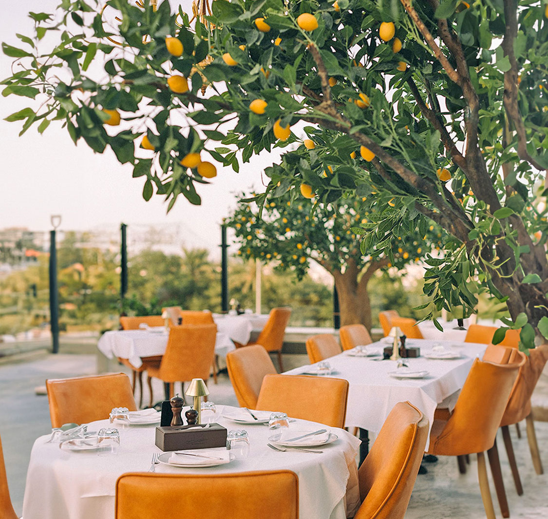 Signor Sassi | | Buy One Get One Free | The ENTERTAINER