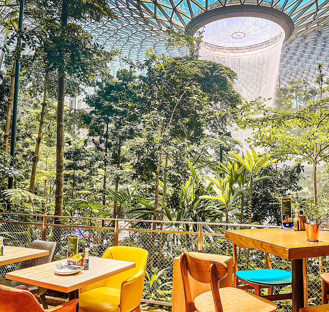 TONITO | | Buy One Get One Free | The ENTERTAINER